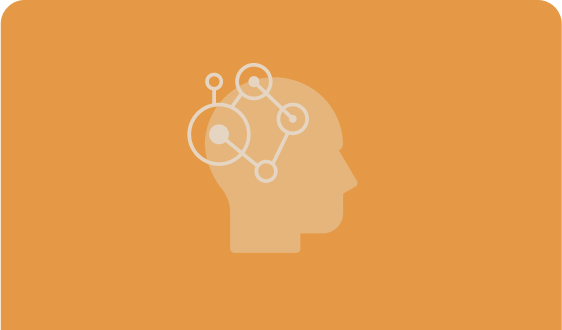 Platform | Realizeit